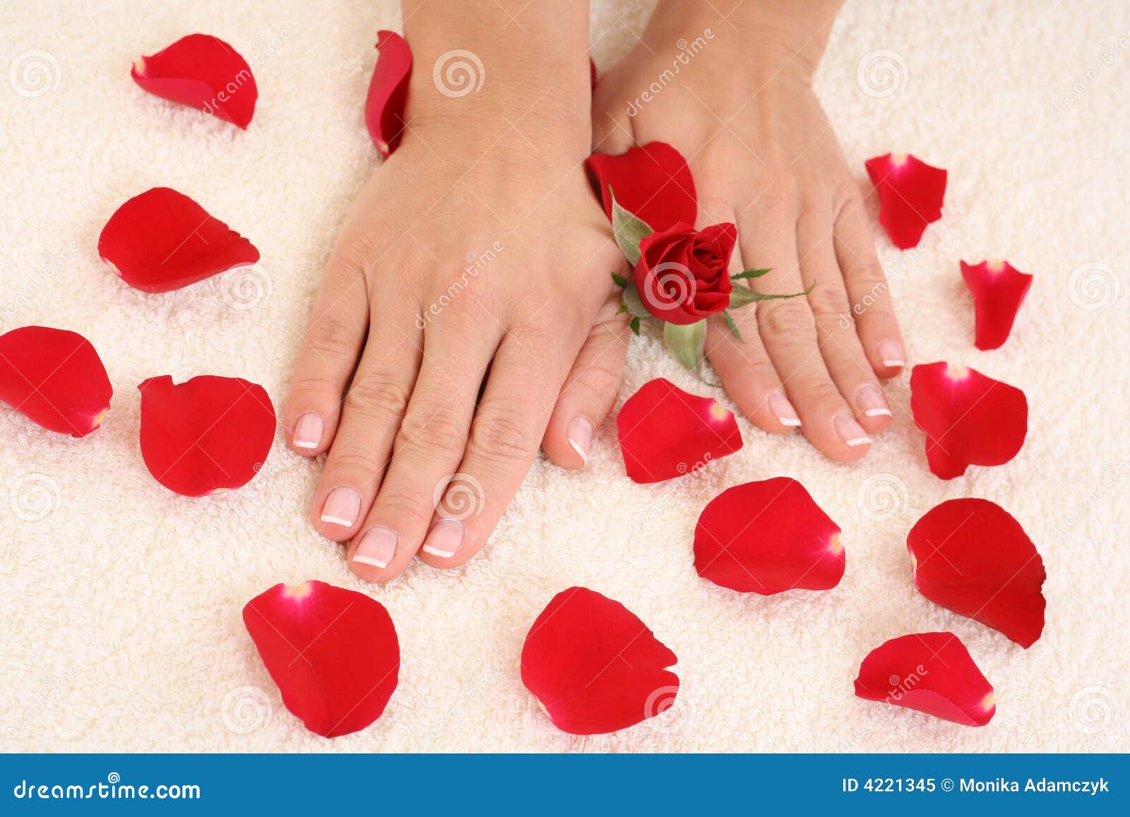 Beautiful hands stock image. Image of freshness, relax - 4221345