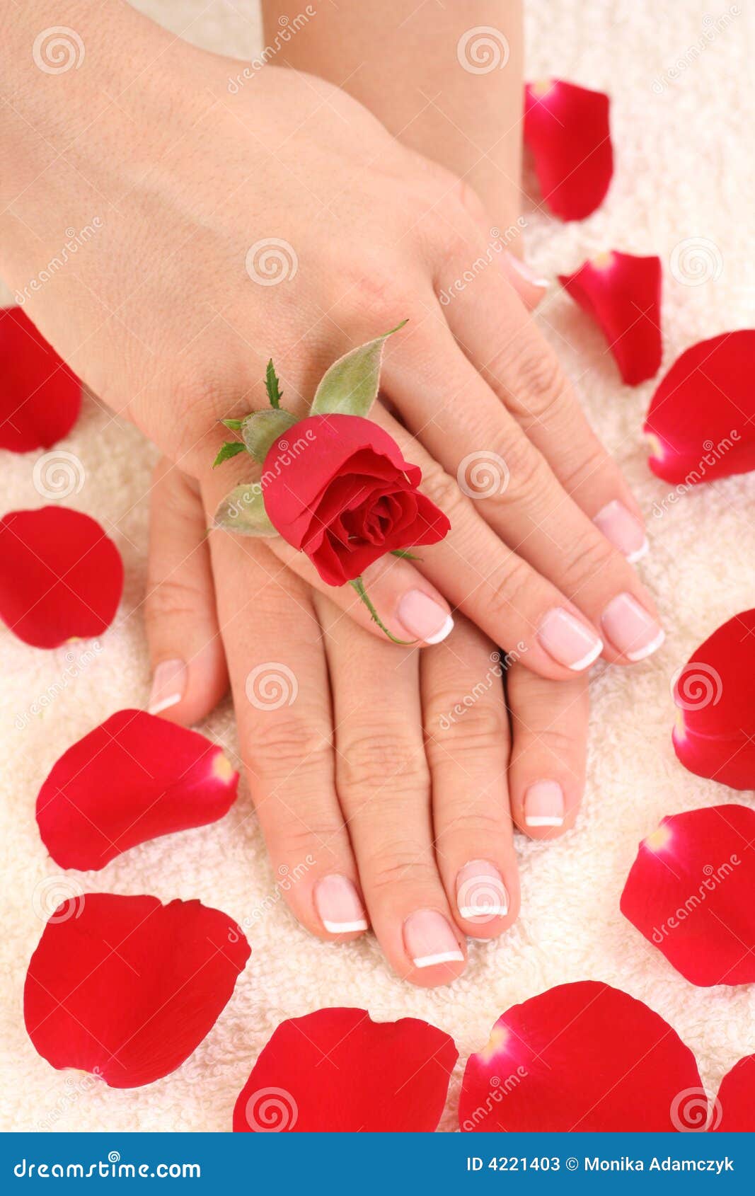 Beautiful hands stock image. Image of wellness, rest, nails - 4221403