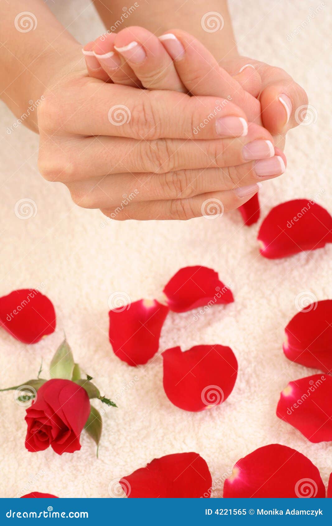 Beautiful hands stock image. Image of wellness, petal - 4221565