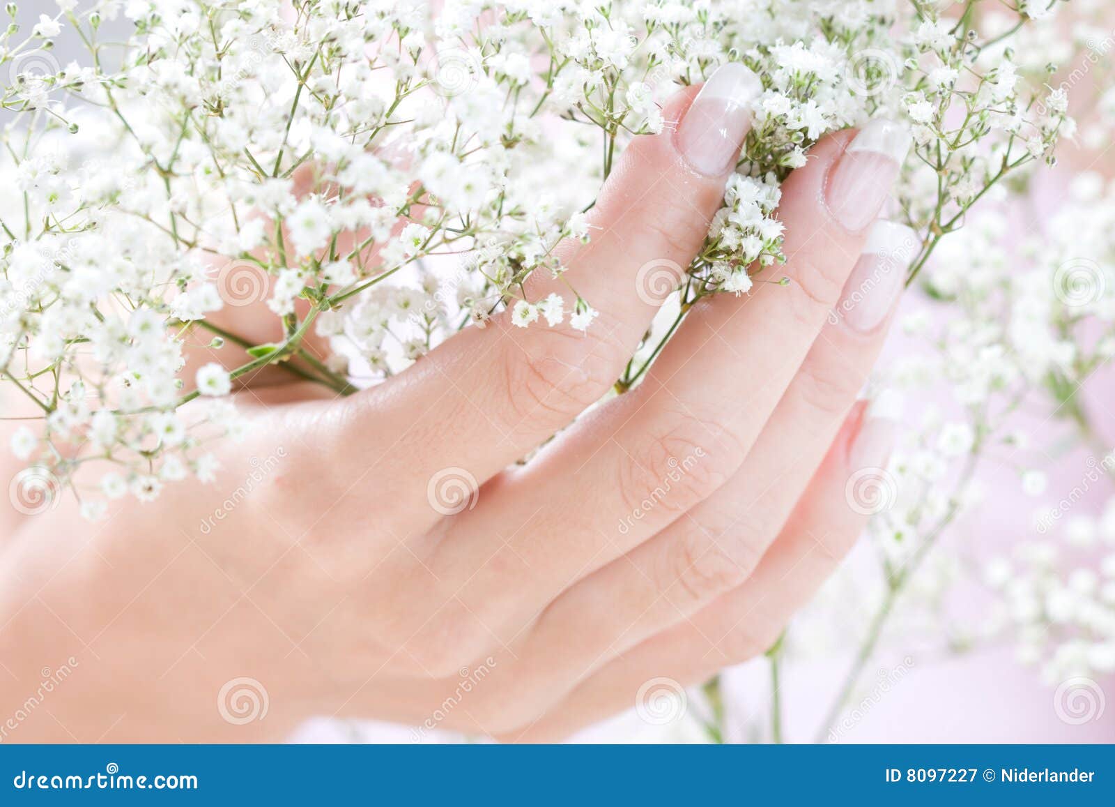 Beautiful hands stock image. Image of treatment, fingernail - 8097227