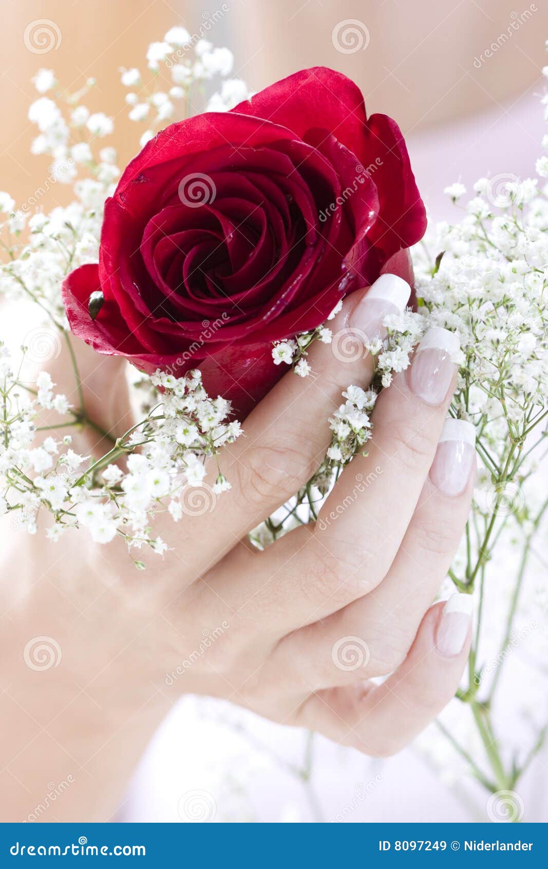 Beautiful hands stock image. Image of clean, wellbeing - 8097249