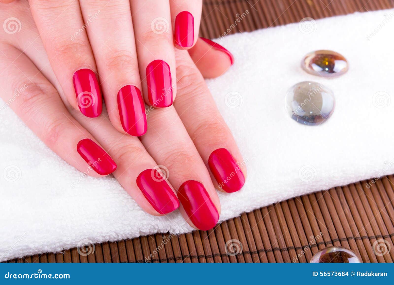 Beautiful Hands with French Nails Stock Photo - Image of female, fresh ...