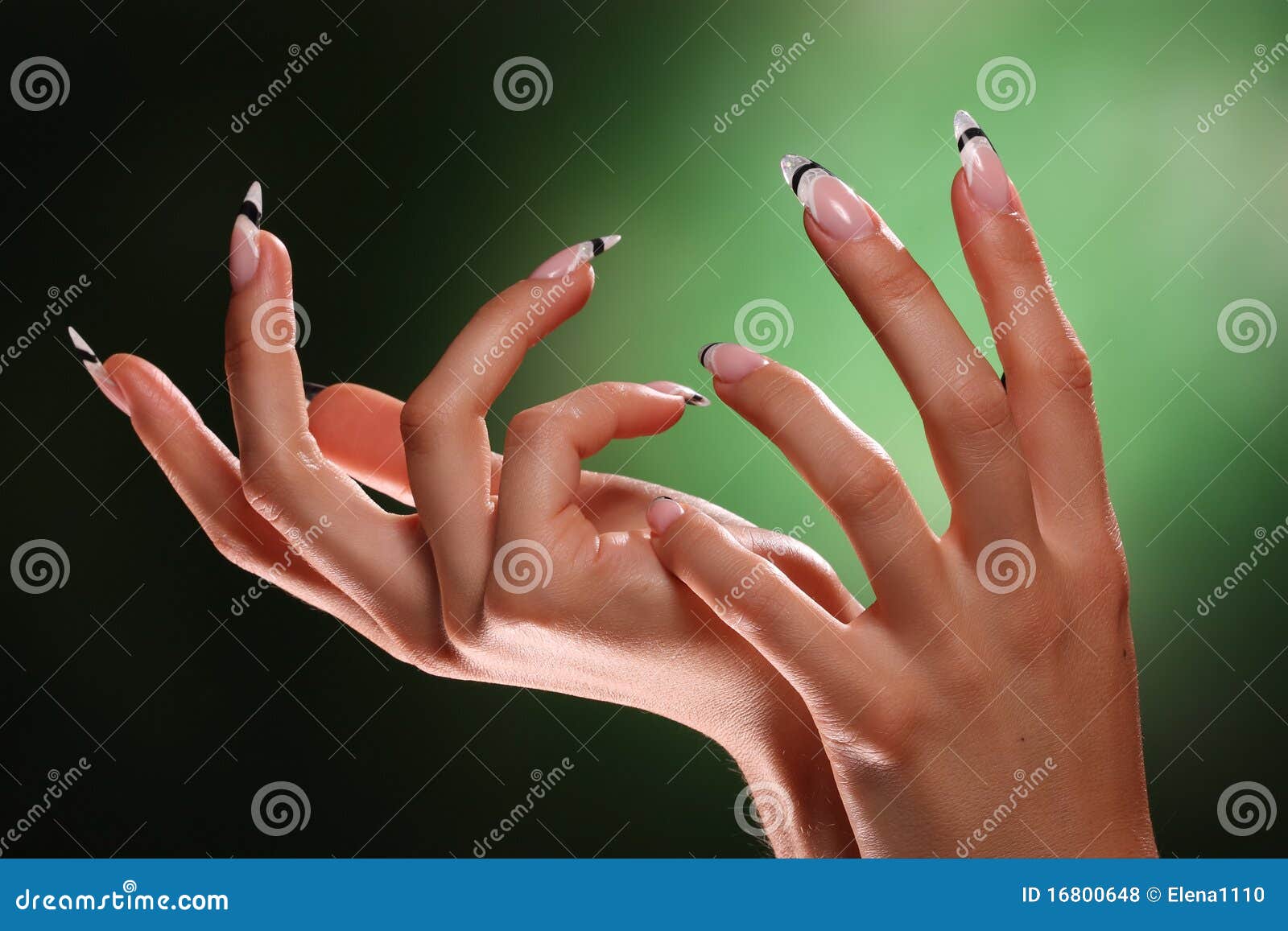 Beautiful Hands With French Manicure Nails Stock Photo | CartoonDealer ...