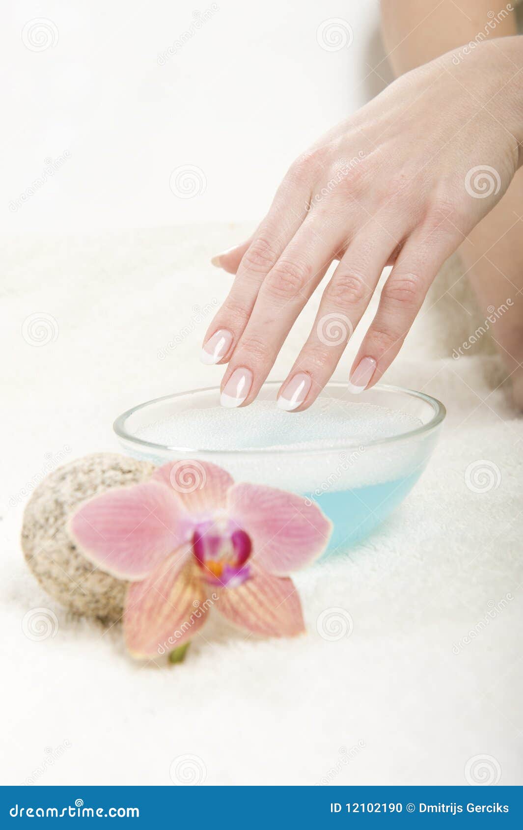 Beautiful Hands with Perfect French Manicure Stock Photo - Image of ...