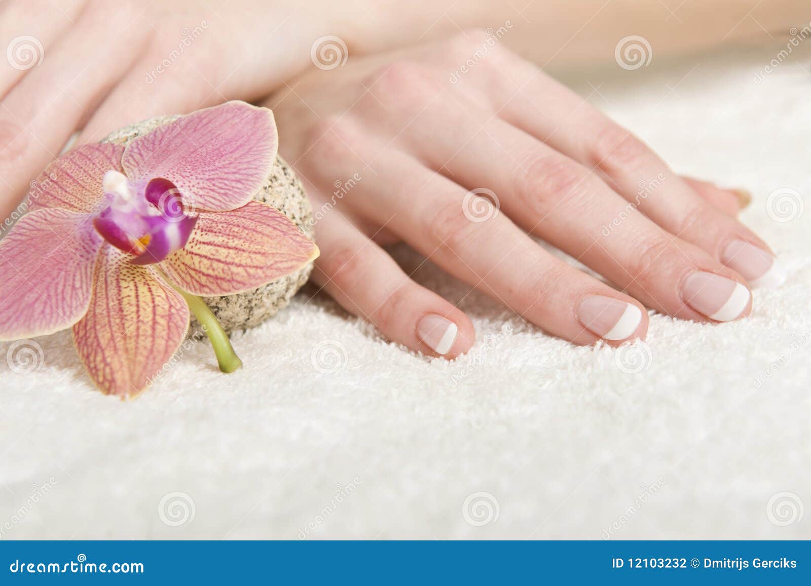 Beautiful Hands with Perfect French Manicure Stock Photo - Image of ...