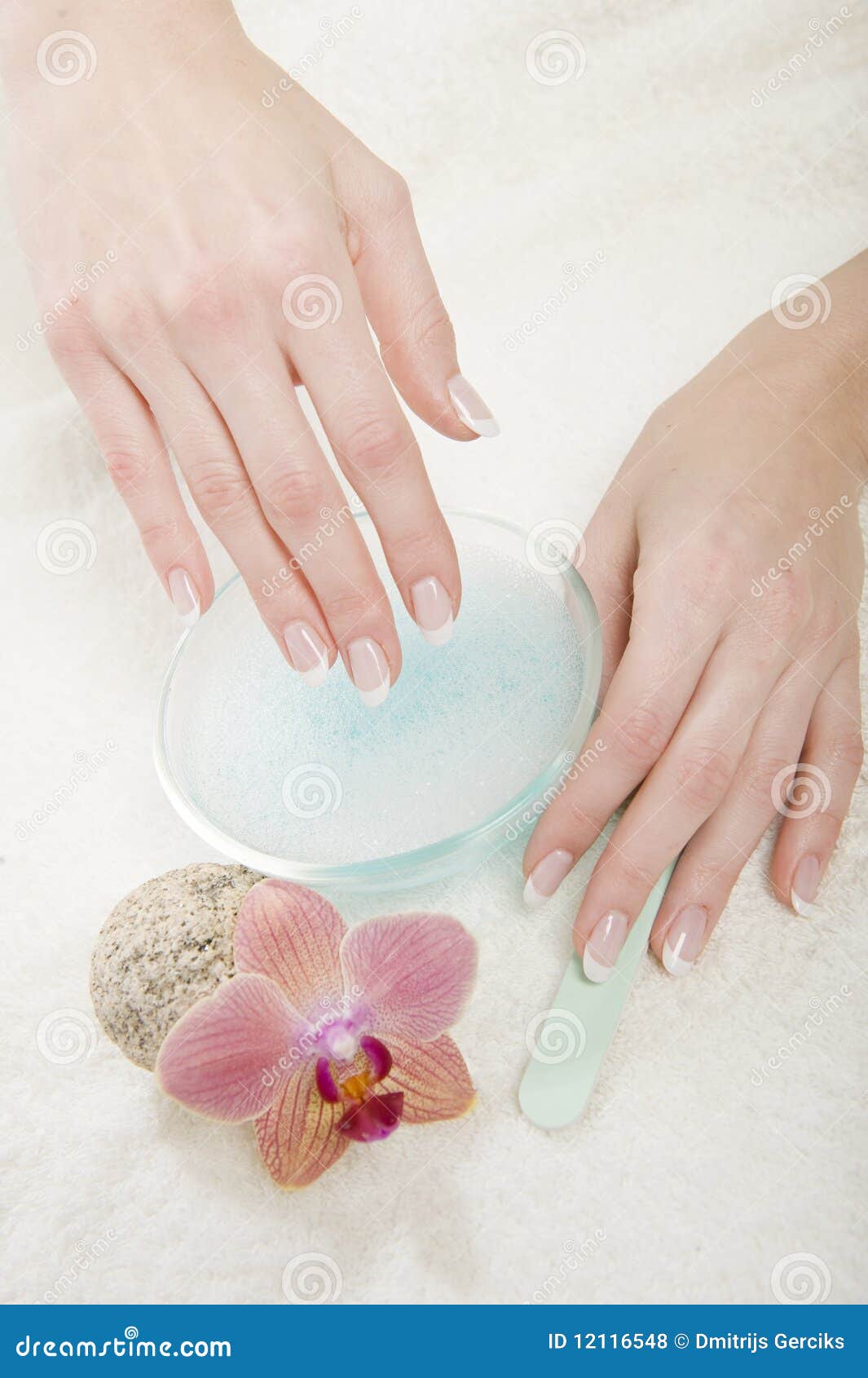 Beautiful Hands with Perfect French Manicure Stock Photo - Image of ...
