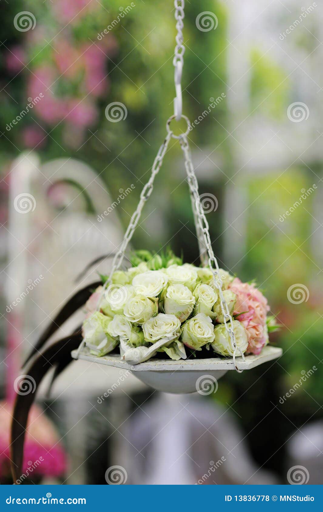 Beautiful Hanging Roses Composition Stock Photo - Image of romance ...