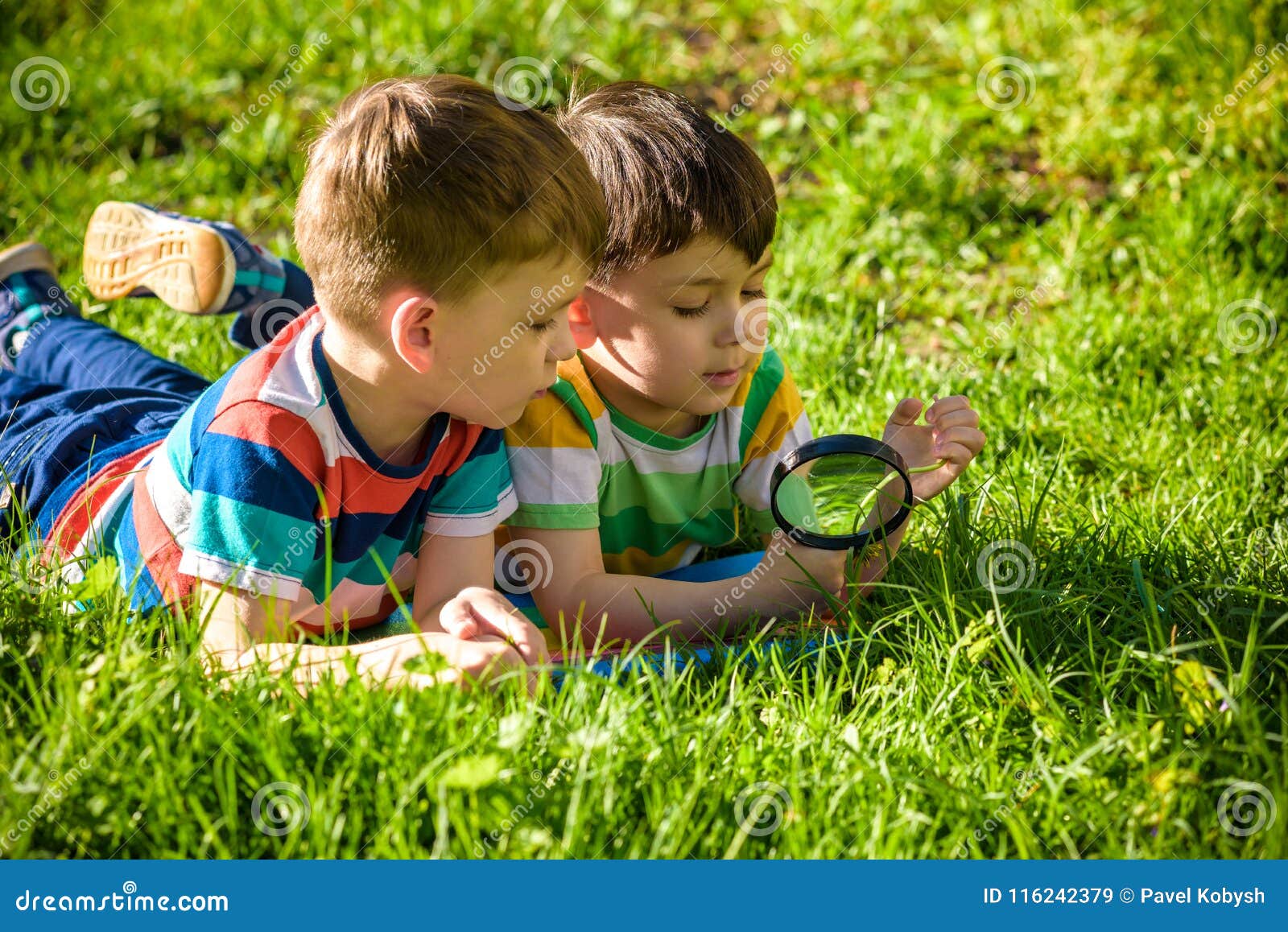 Beautiful Happy Children, Boy Brothers, Exploring Nature with Ma Stock ... Beautiful Happy Children, Boy Brothers, Exploring Nature with Ma Stock ...