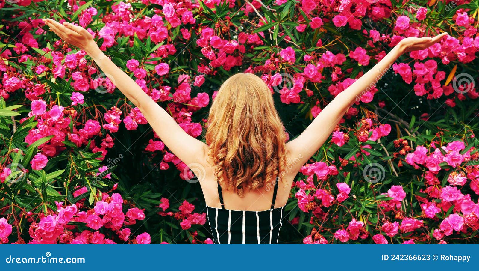 Beautiful Happy Woman Raising Her Hands Up in Garden on Roses Flowers ... Beautiful Happy Woman Raising Her Hands Up in Garden on Roses Flowers ...