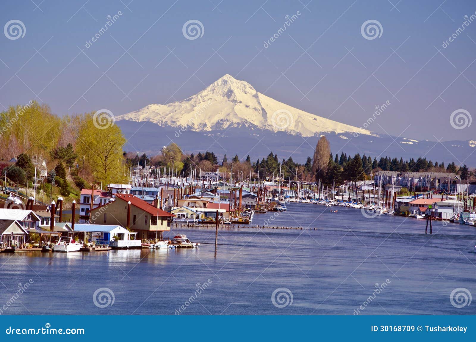 Beautiful hayden island stock image. Image of golden - 30168709