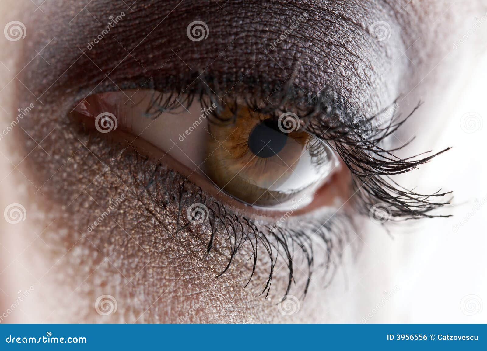 Beautiful Hazel Eye with Makeup Stock Photo - Image of girl, skin: 3956556