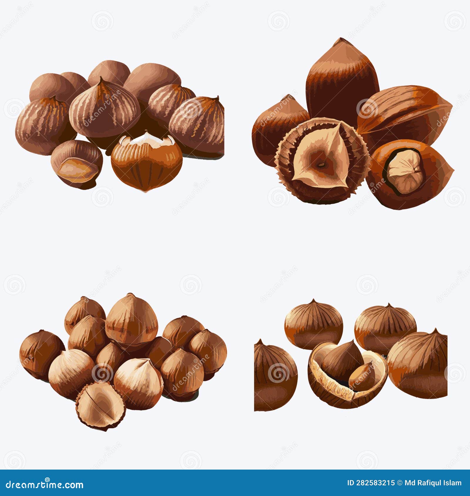 Beautiful Hazelnut in Solid Background, Vector Illustration Stock ...