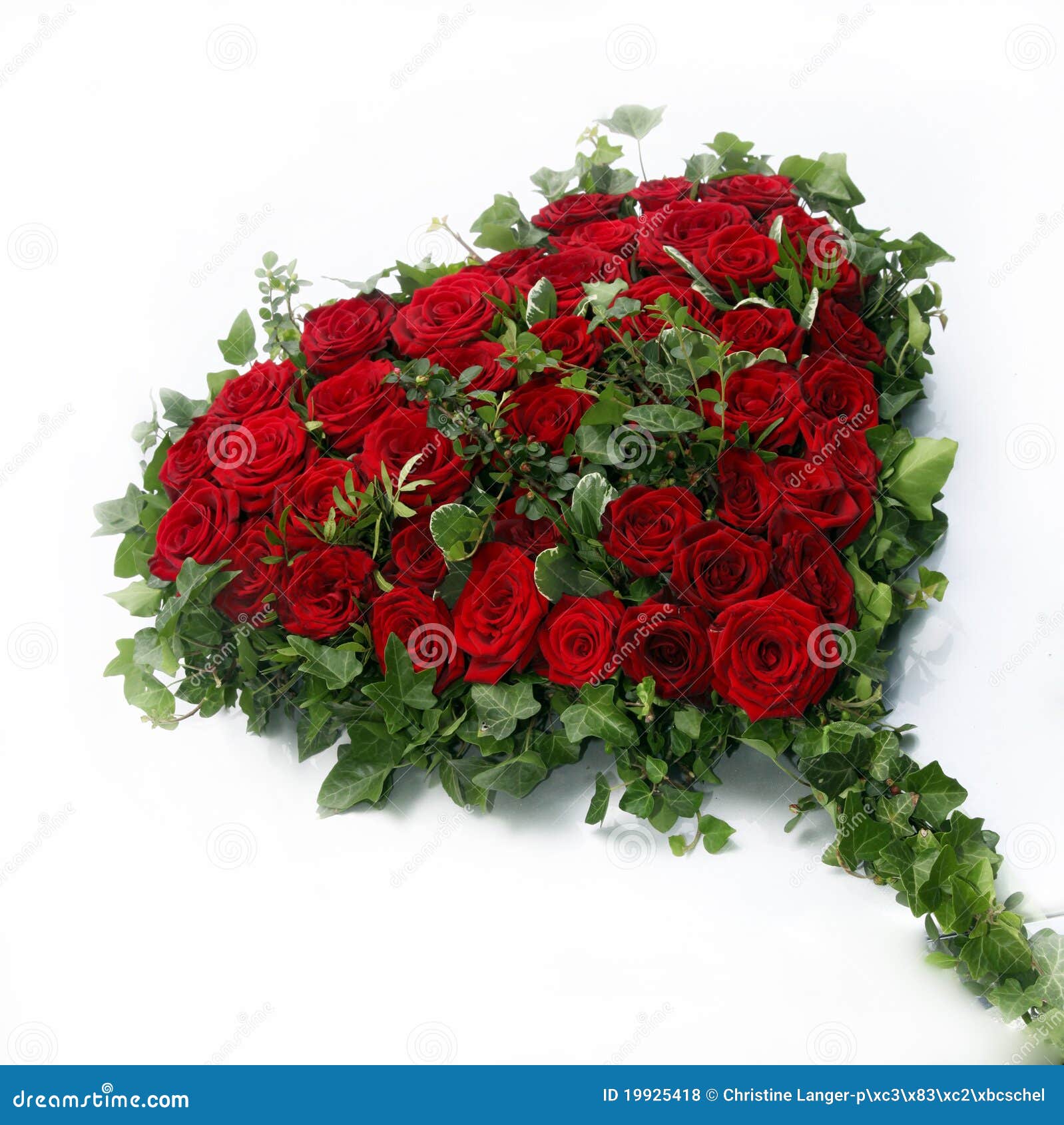 Beautiful Heart of Red Roses Stock Photo - Image of white, close: 19925418