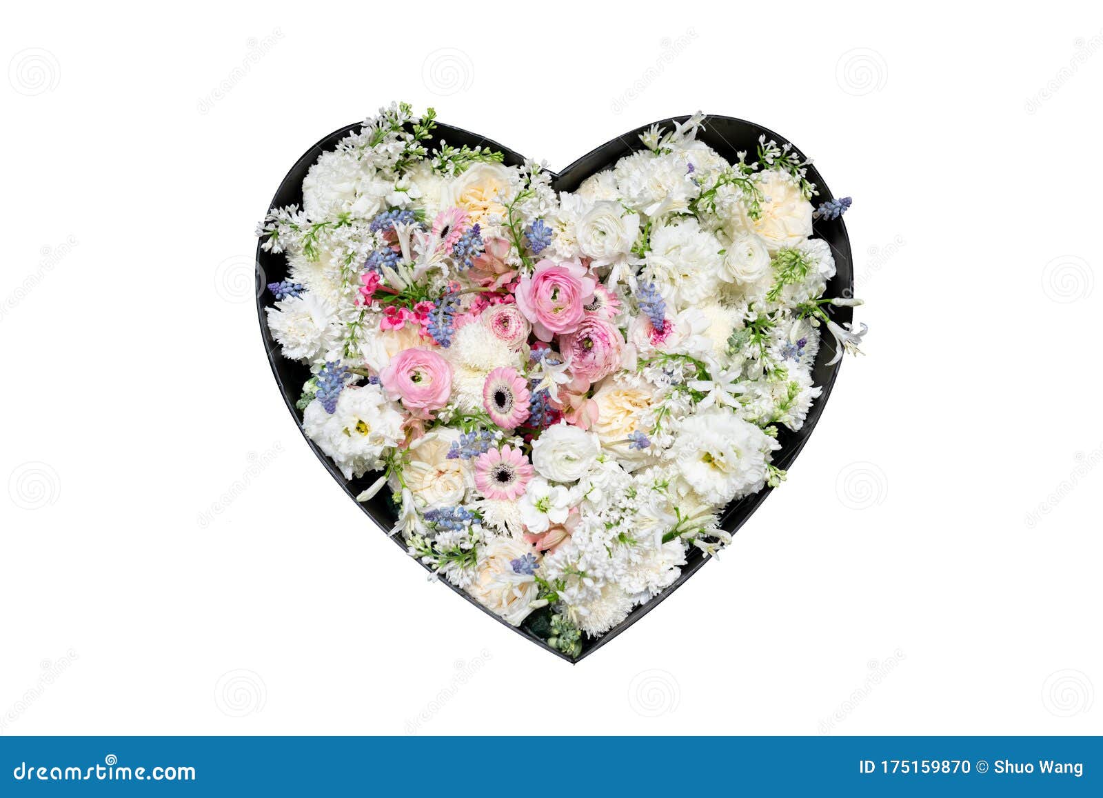 A Flower Box in the Shape of a Heart Stock Photo - Image of birth ...