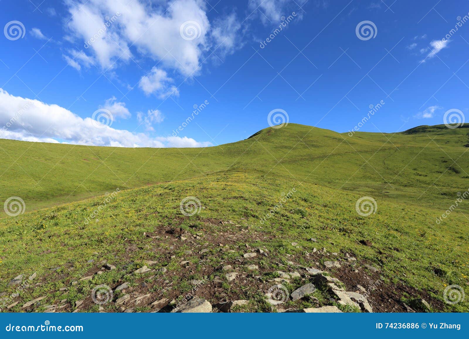 Beautiful High Mountain Grassland in China Stock Photo - Image of field ...