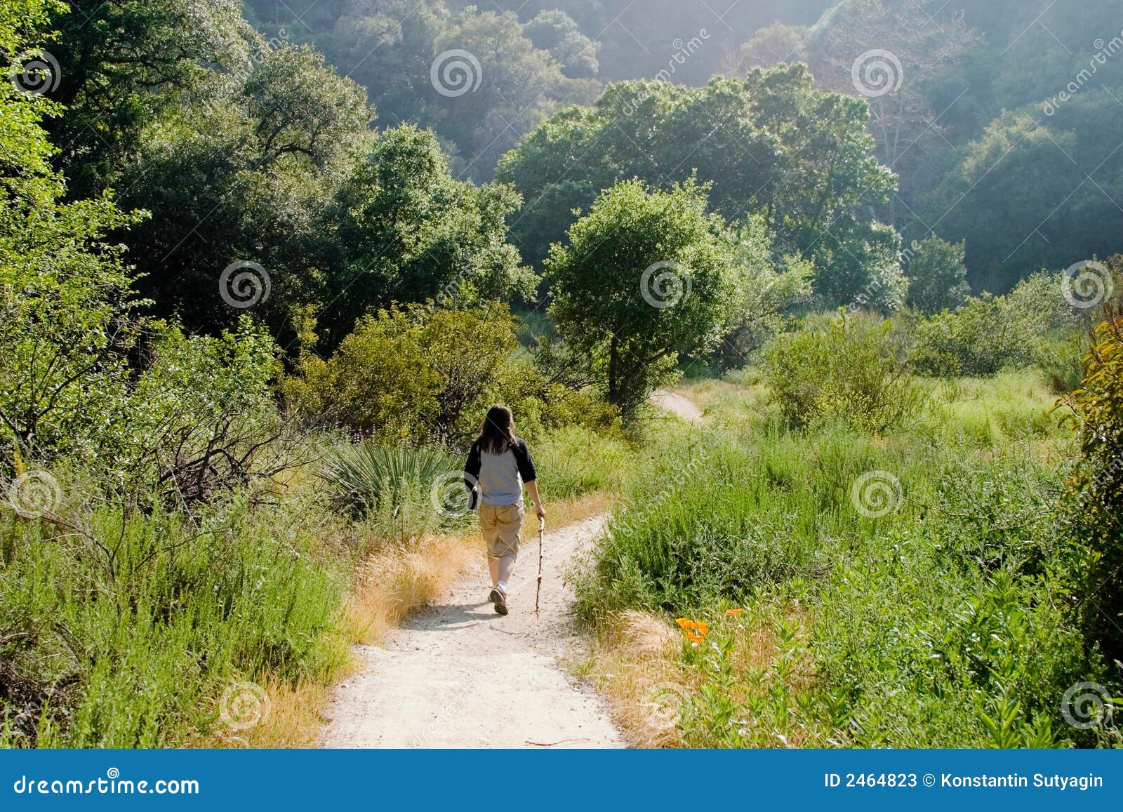 Beautiful hiking scene stock image. Image of park, nature - 2464823