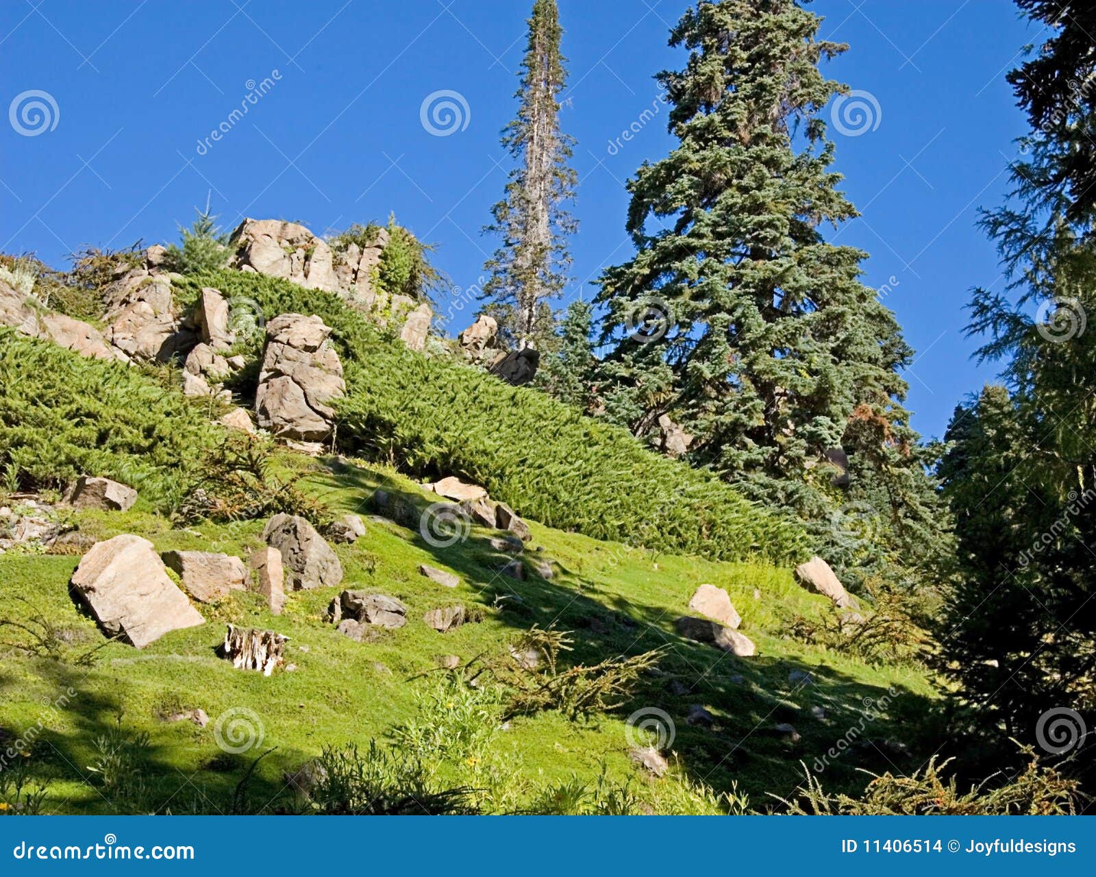 Beautiful Hill Scenic stock photo. Image of blue, natural - 11406514