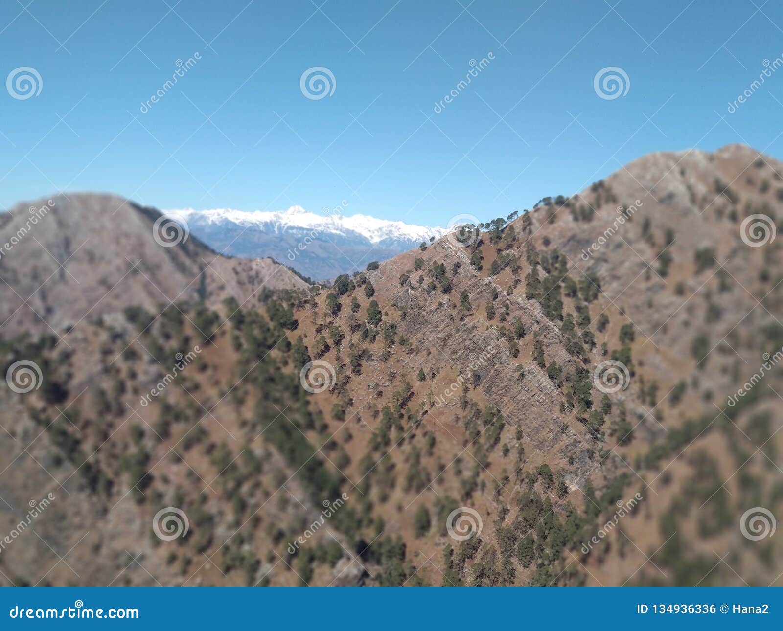 Beautiful Hill View in Kashmir in India Stock Photo - Image of ...