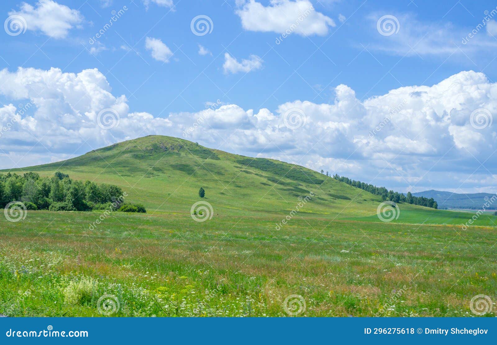 Beautiful Hills Covered with Fresh Greenery with Cloud Shadows Stock ...