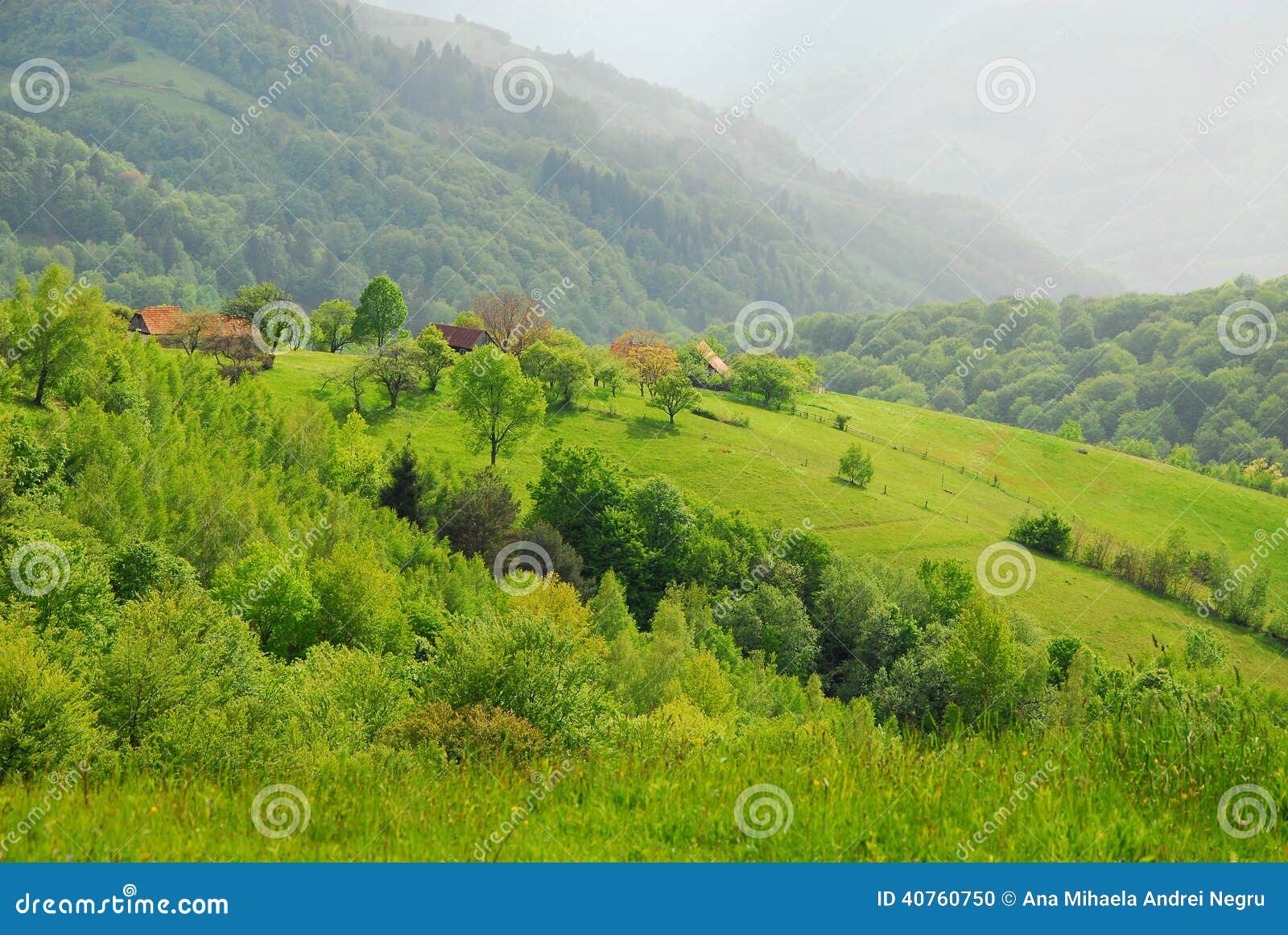Beautiful Hills With Trees Royalty-Free Stock Photography ...