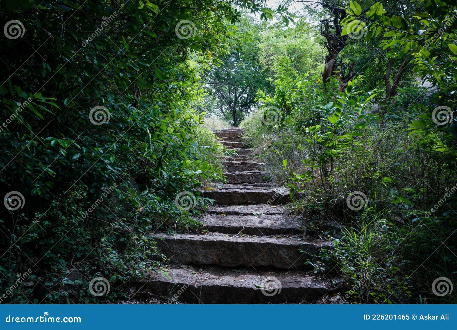 Beautiful Path on the Hills Stock Image - Image of background, hills ...