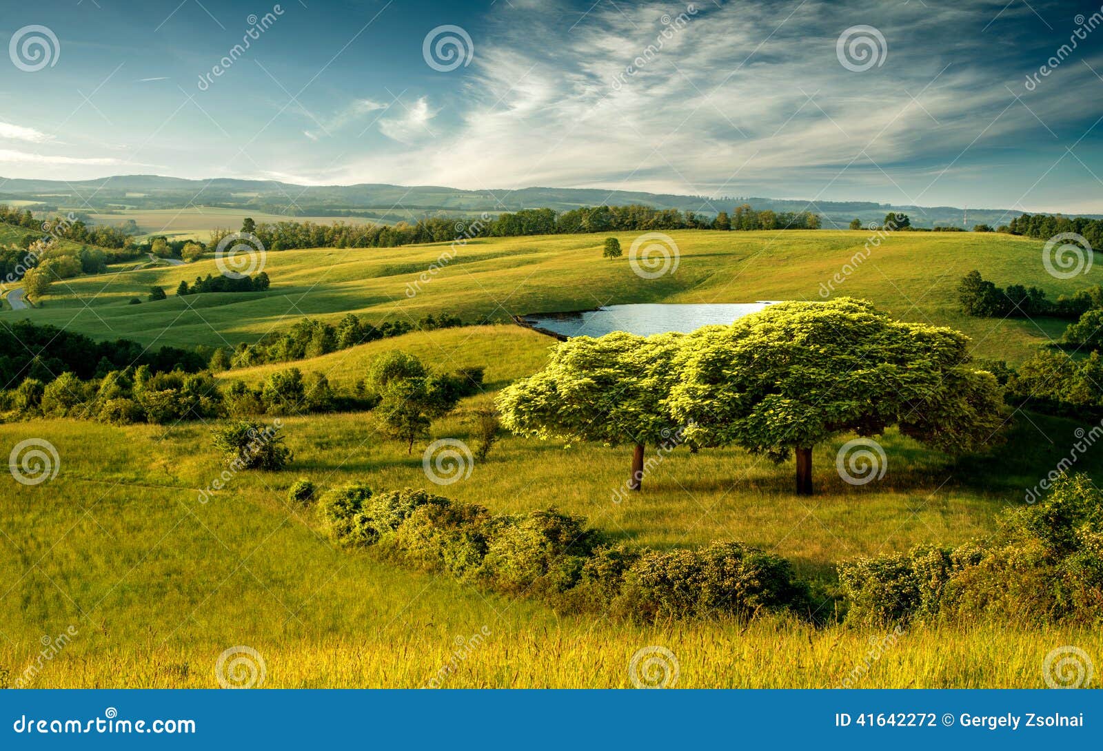 Hilly Landscape And Green Bushes Amongst The Sandy Tracks Of Caminho Da ...