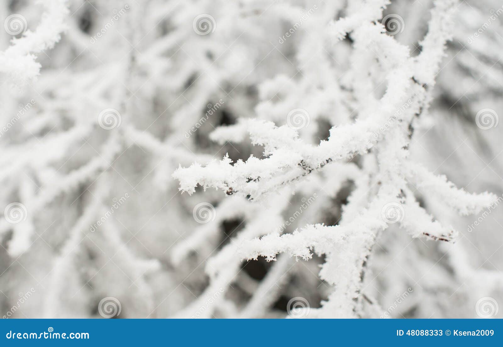 Beautiful hoarfrost stock image. Image of natural, snowdrift - 48088333