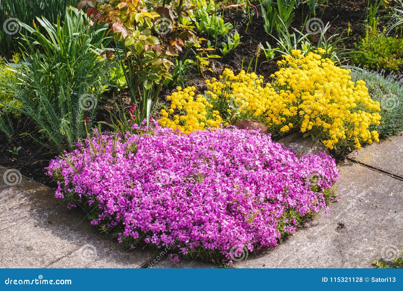 Beautiful Home Garden Allotment in Spring Stock Photo - Image of flower ...