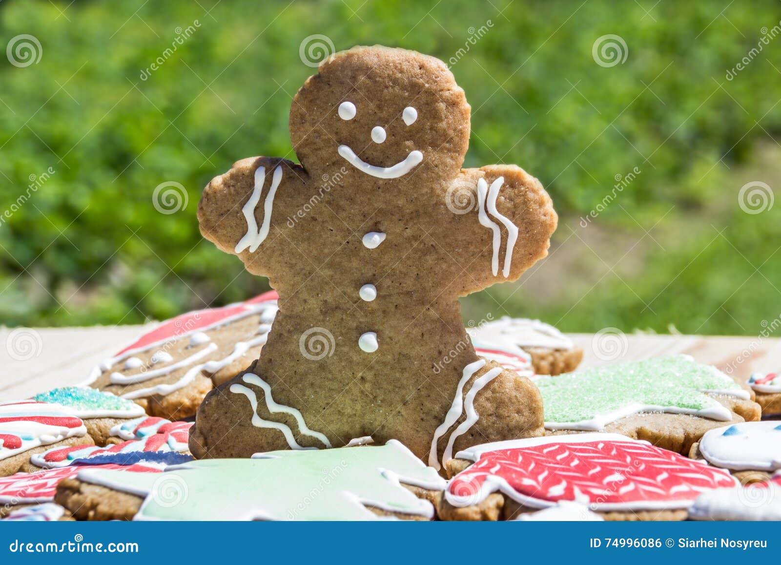 Beautiful Homemade Gingerbread Cookie Man Stock Photo - Image of cake ...