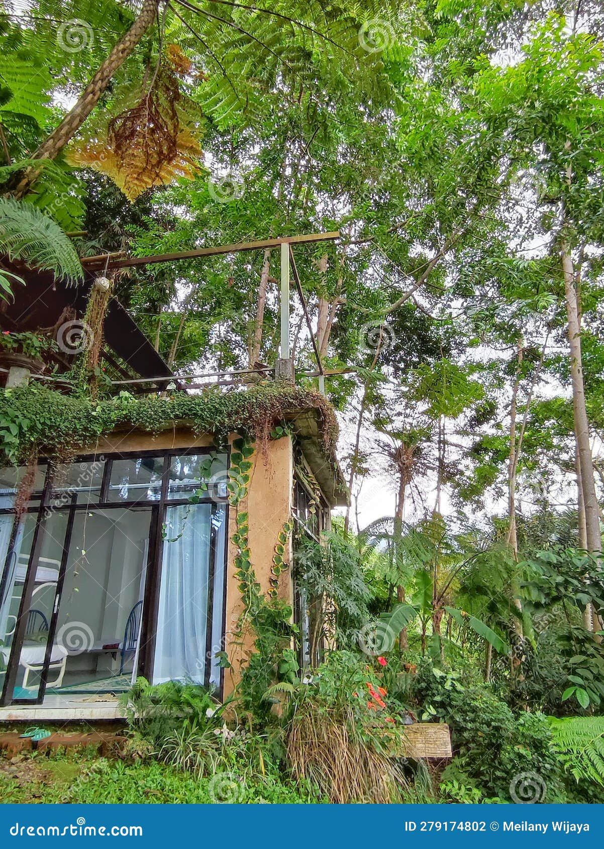 Beautiful Homestay Nature View at the Forest Stock Photo - Image of ...