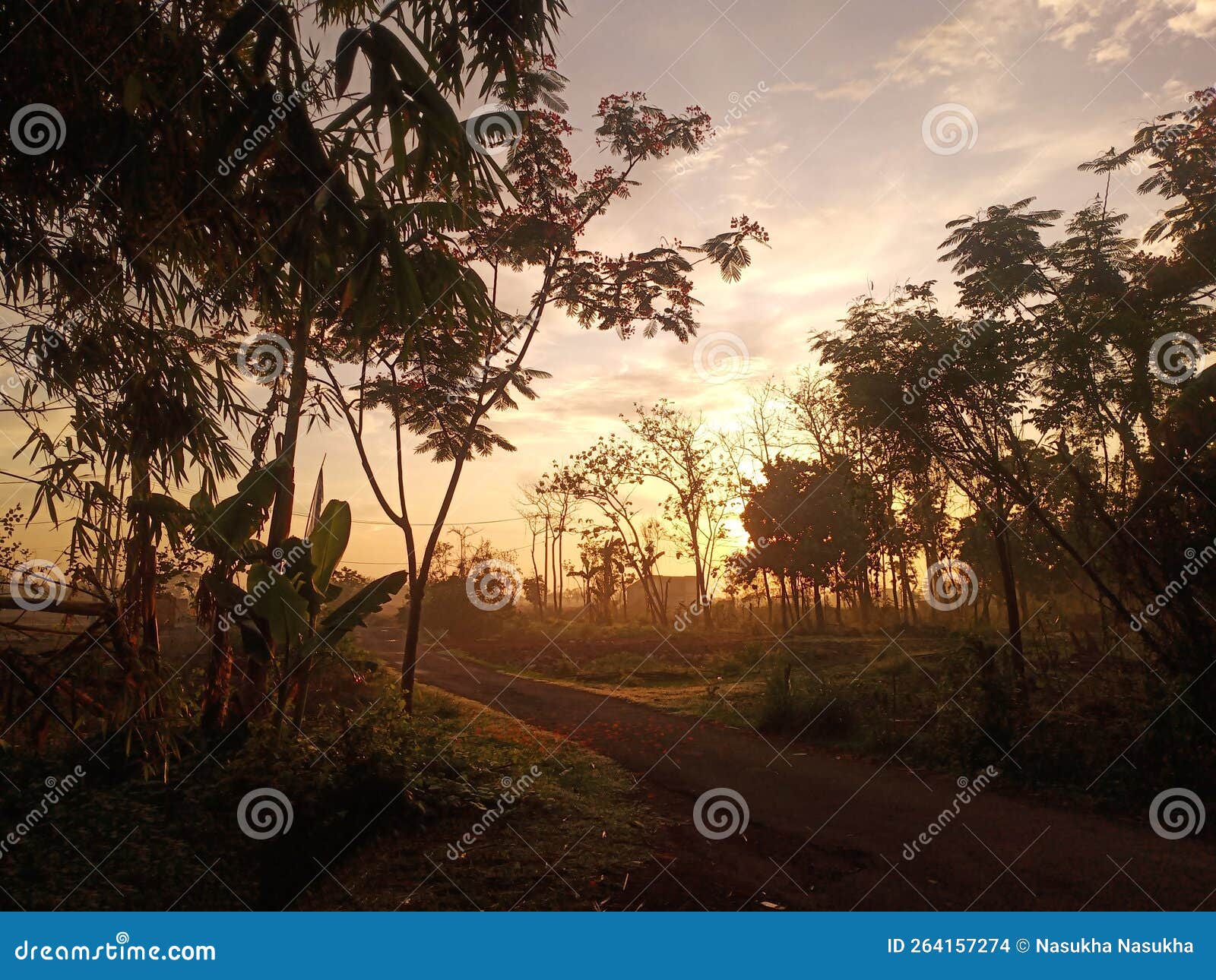 Beautiful Hometown in the Morning Stock Photo - Image of grown, dawn ...