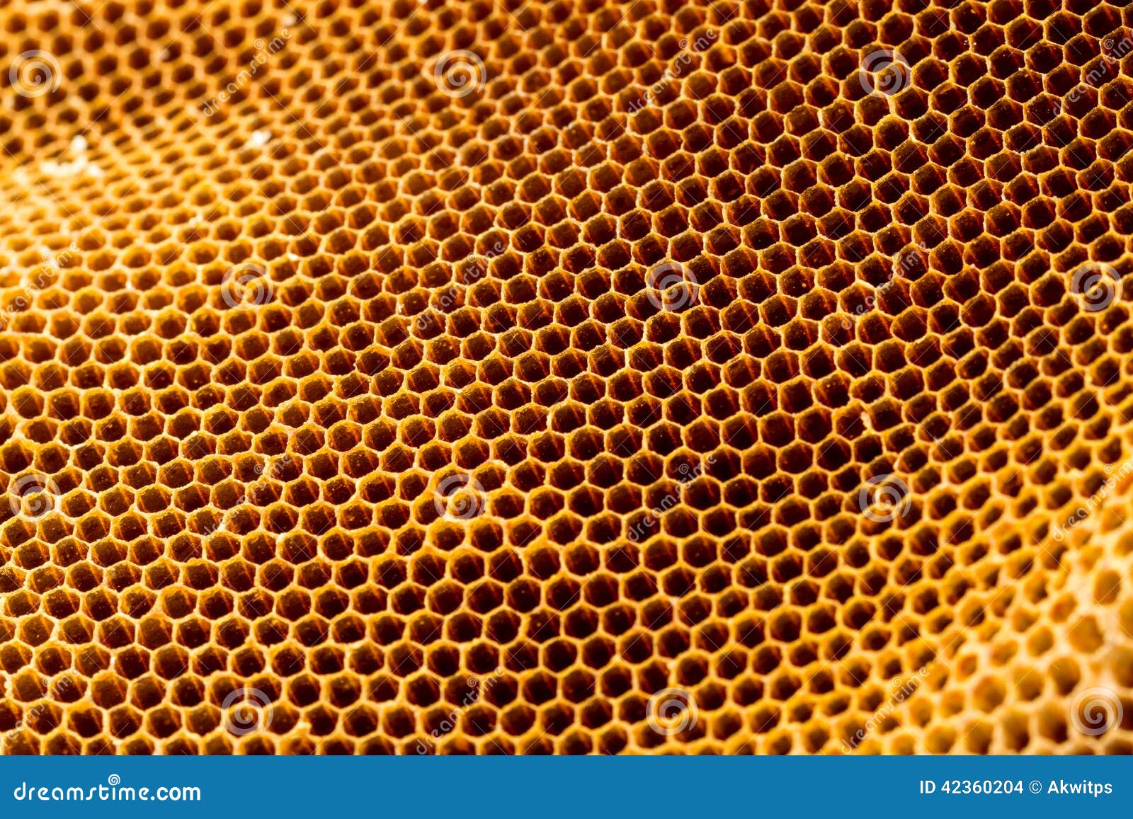 Honey Texture Close Up In The Detail Royalty-Free Stock Photo ...