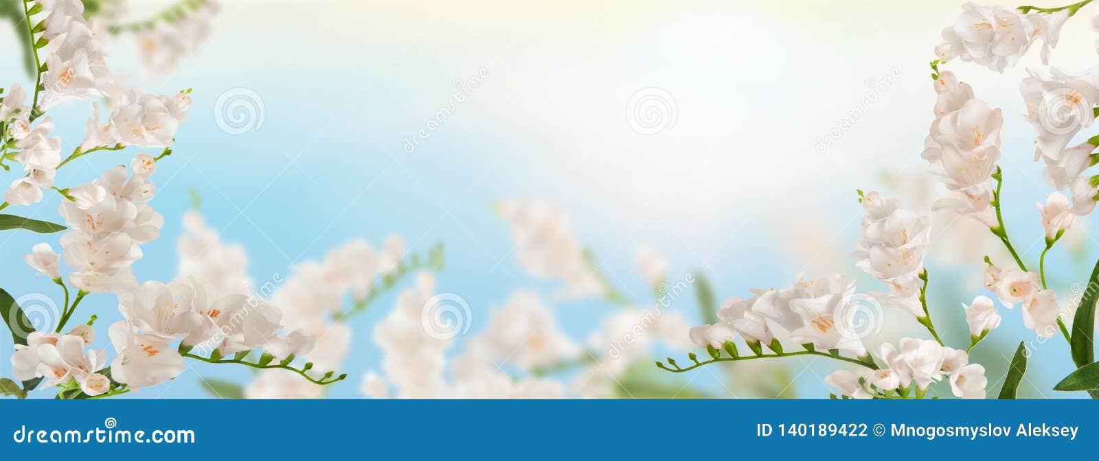 Beautiful Horizontal Flower Background Stock Photo - Image of concept ...