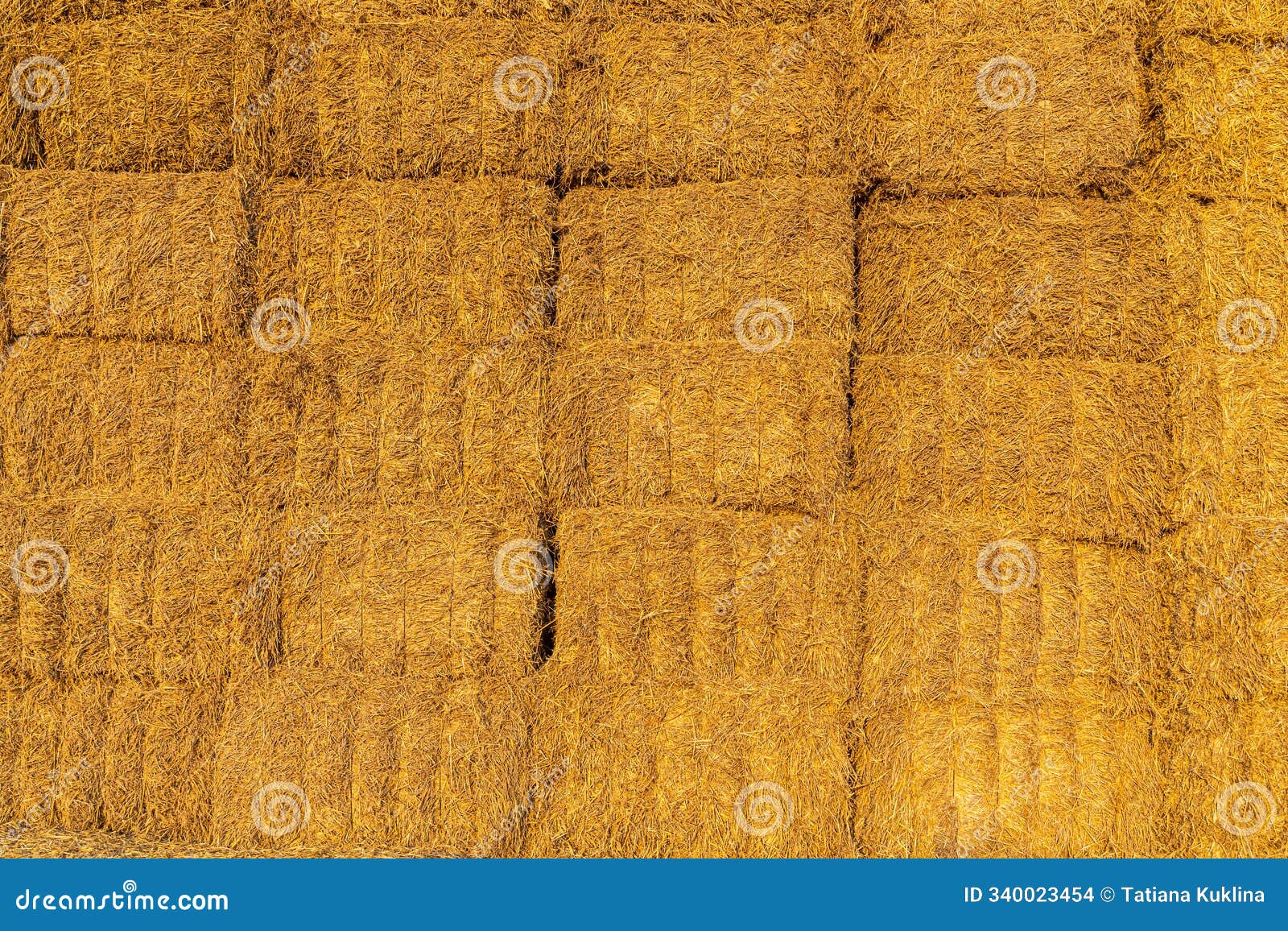 Beautiful Horizontal Texture of Dry Yellow and Orange Rectangular Hay ...