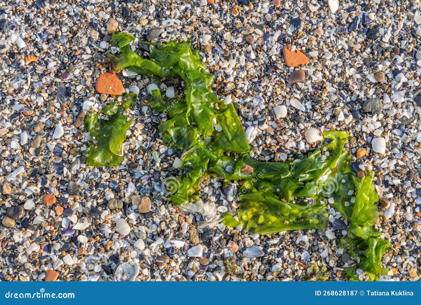 Beautiful Horizontal Texture of Yellow Sand with Waves Pebbles and ...
