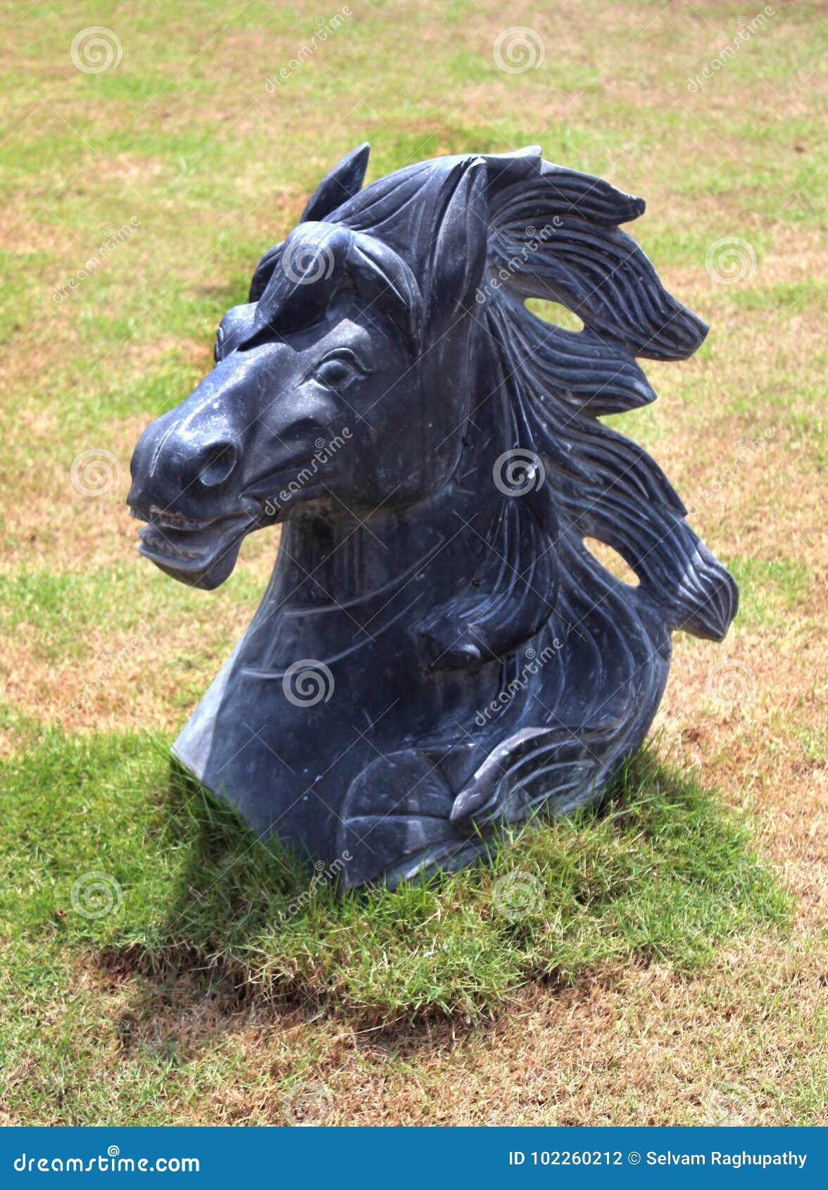 Beautiful Horse Stone Sculpture Editorial Photography - Image of park ...