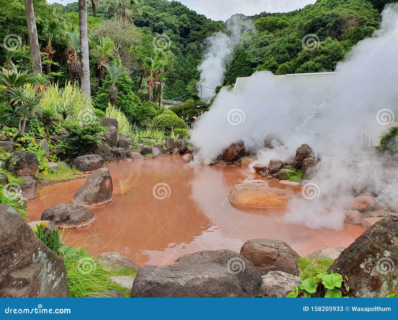 Hot spring in the forest stock image. Image of asia - 158205933