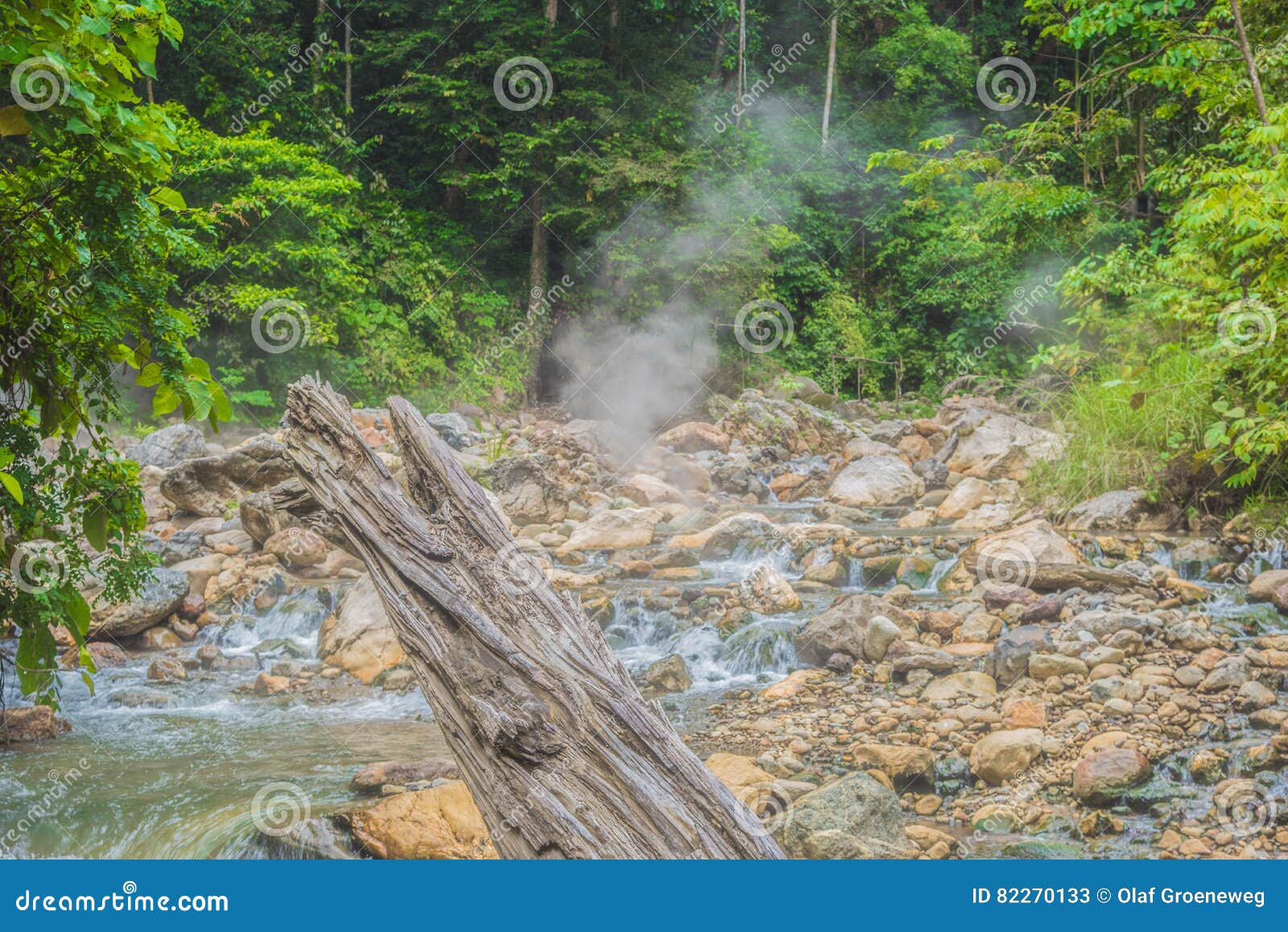 Beautiful Hot Springs in the Jungle Stock Image - Image of jungle ...