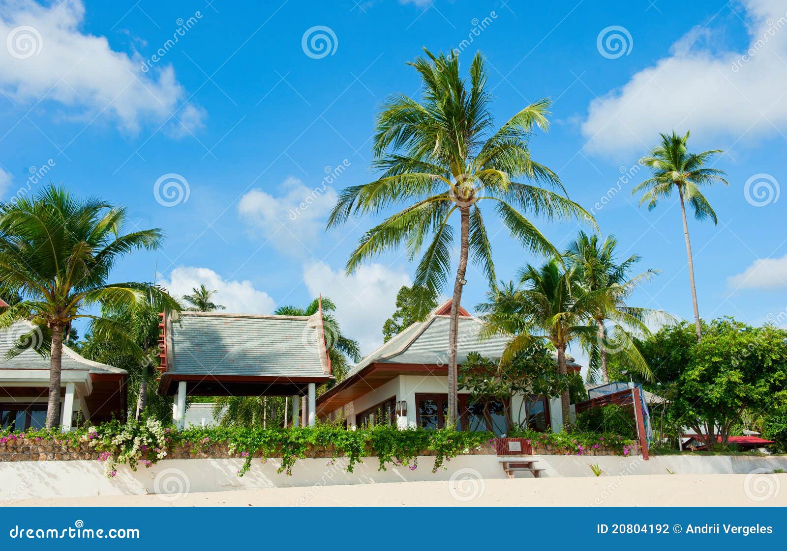 Beautiful House with Palm Trees Stock Photo - Image of hotel ...