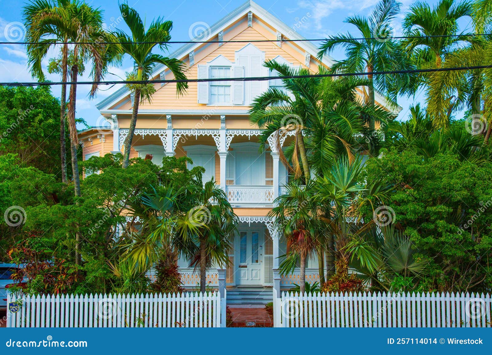 Beautiful House with Palm Trees in Front Stock Photo - Image of ...