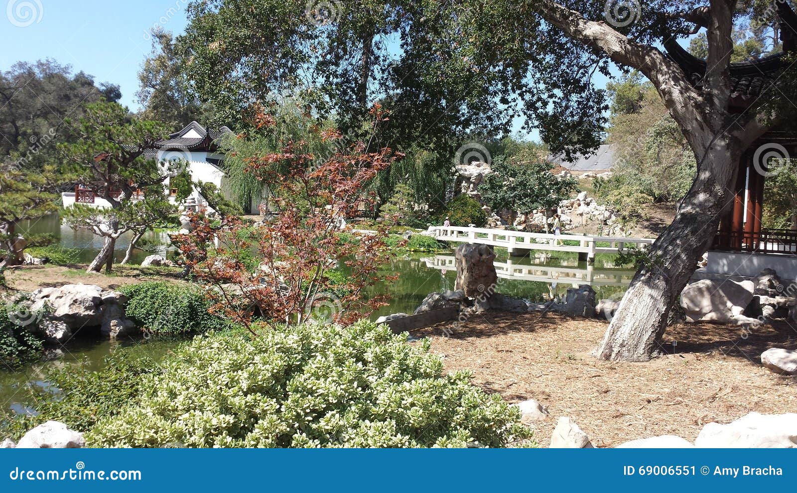 Beautiful Huffington Library Stock Image - Image of library, garden ...