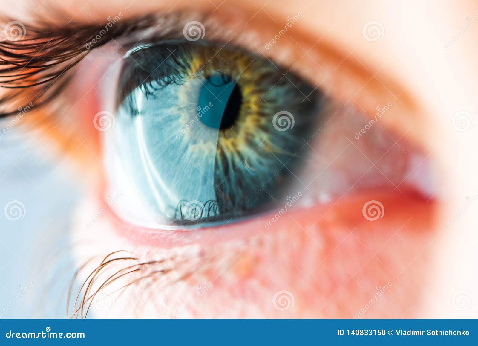 Human Eye Macro View stock photo. Image of facial, conjunctiva - 140833150