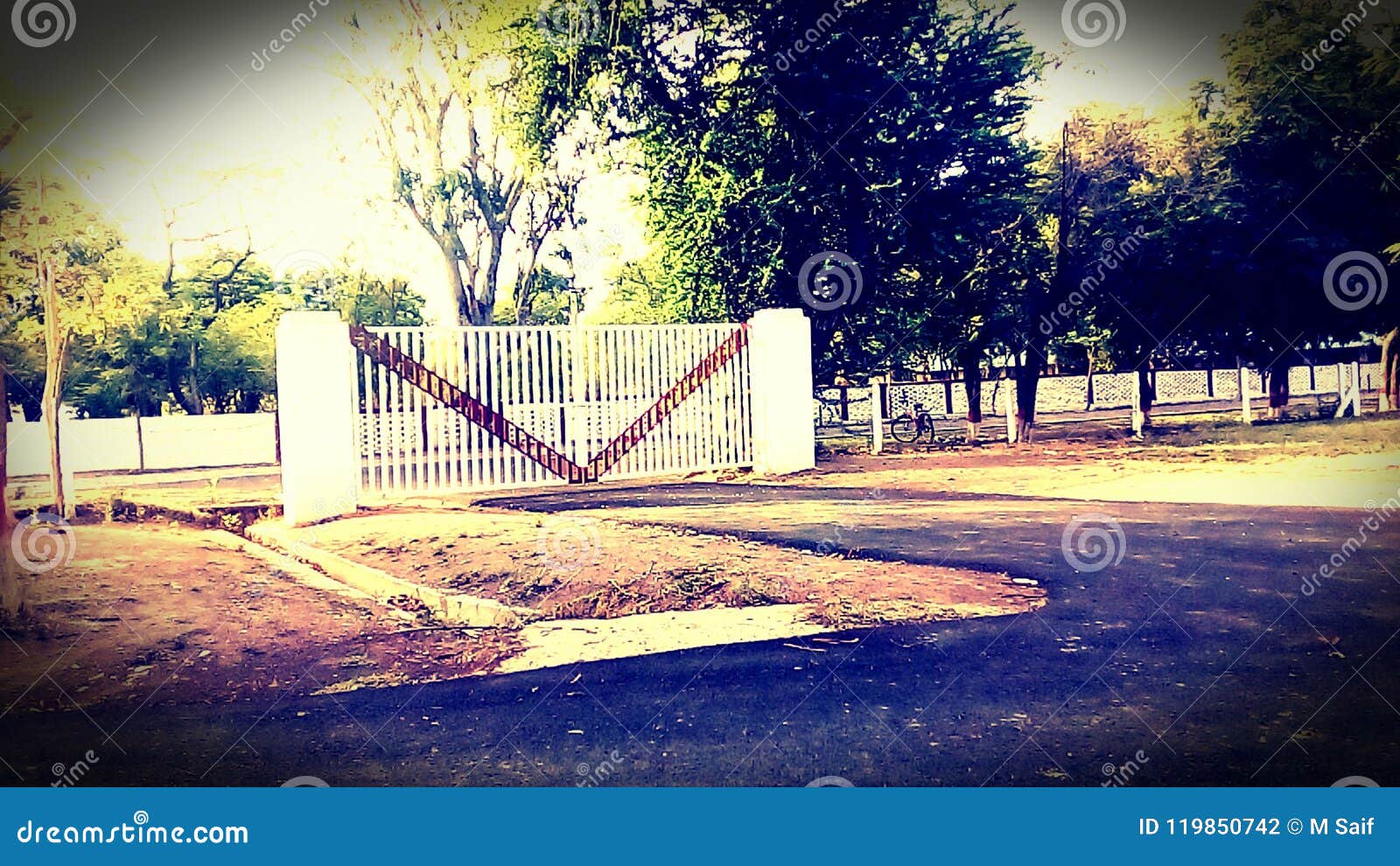 Beautiful Human and Nature Interaction Stock Photo - Image of beautiful ...