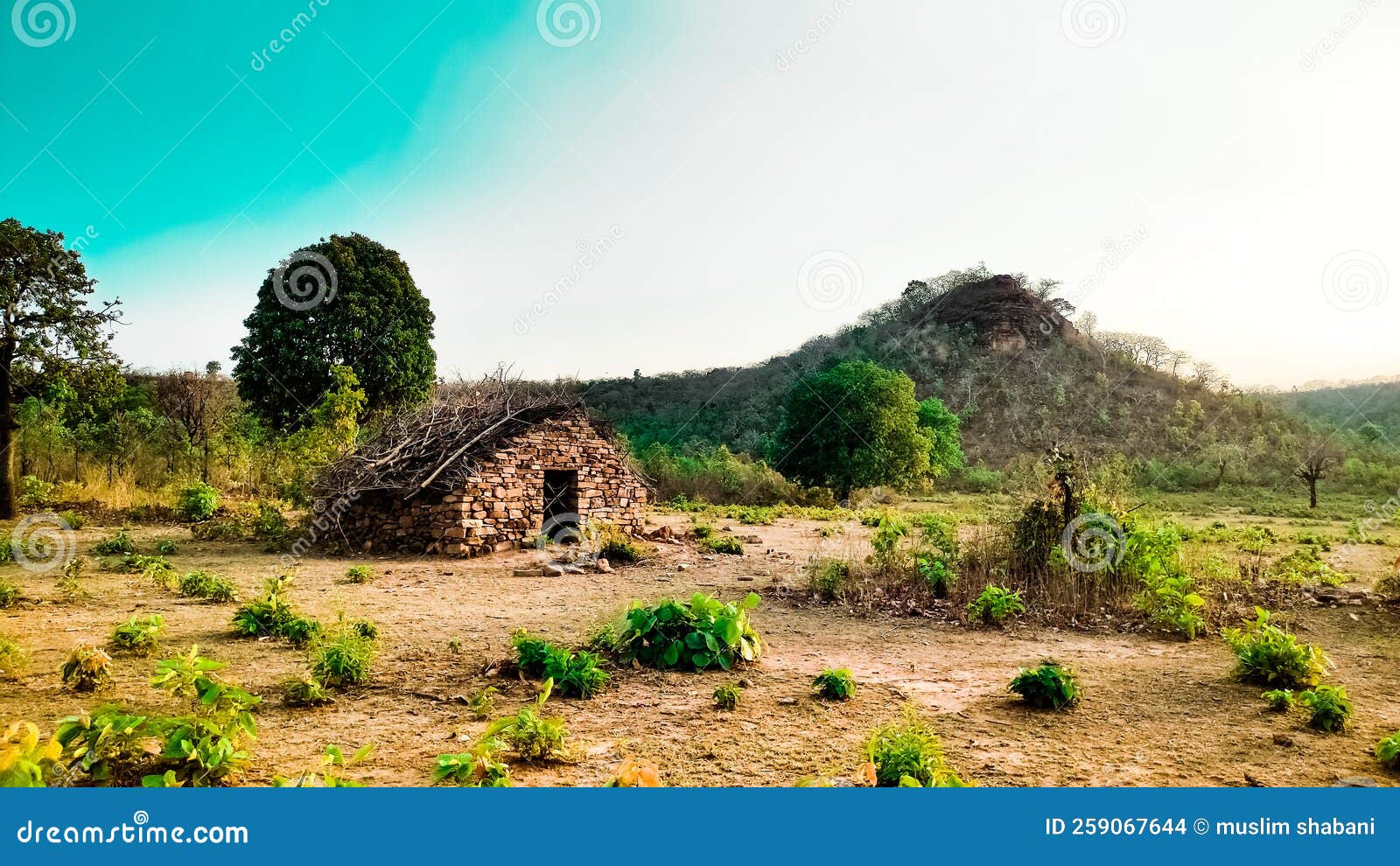 Beautiful Hut in the Forest Evening Green Trees and Plants Stock Photo ...