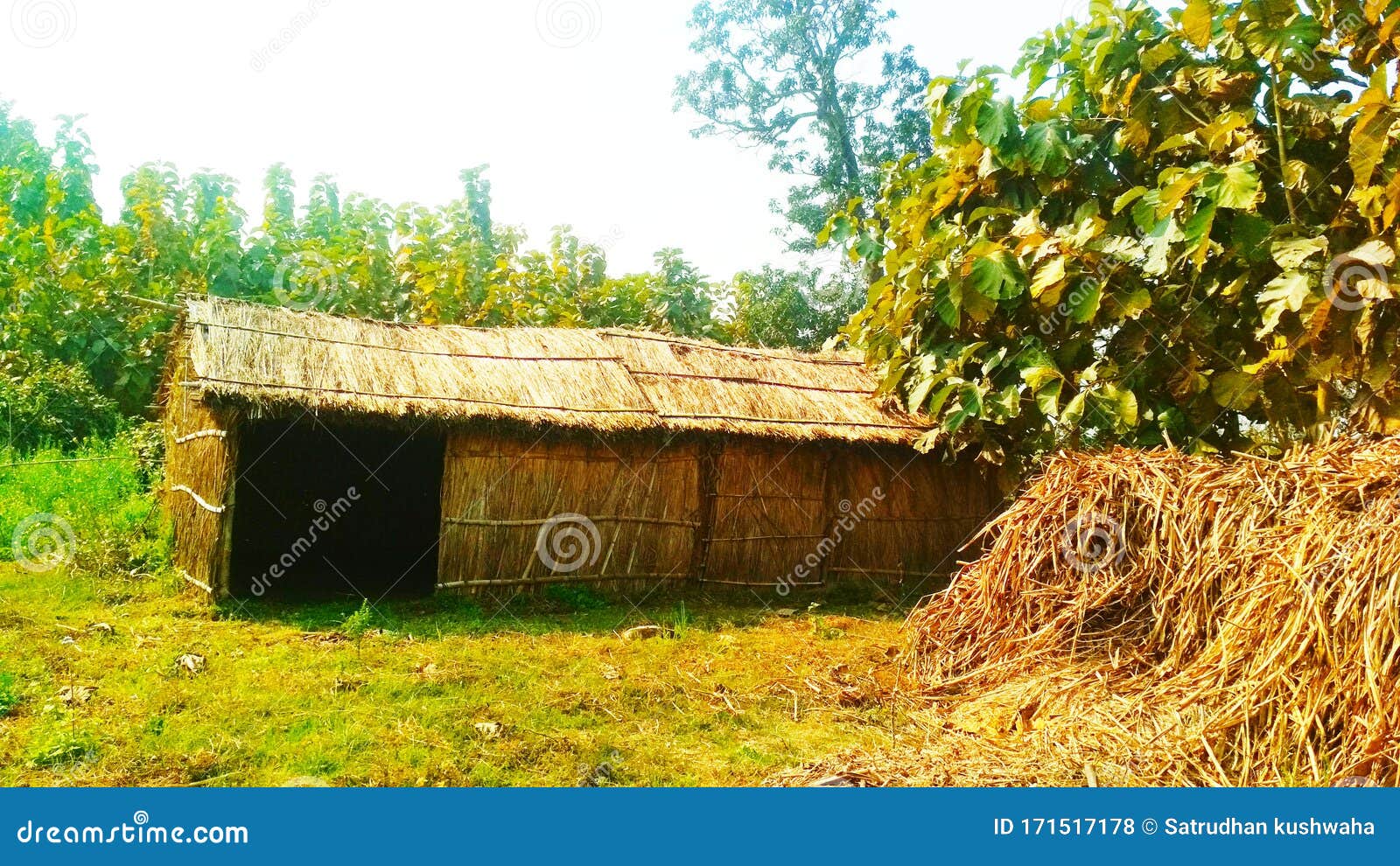 Beautiful Hut and Natural Picture Stock Photo - Image of india, country ...