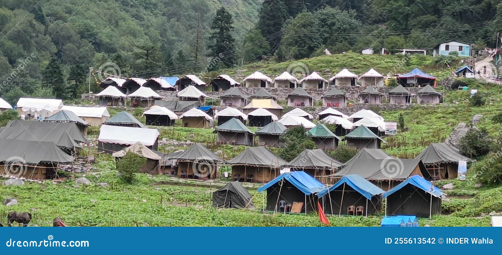 So Beautiful Huts Outside Forest. Stock Photo - Image of agriculture ...