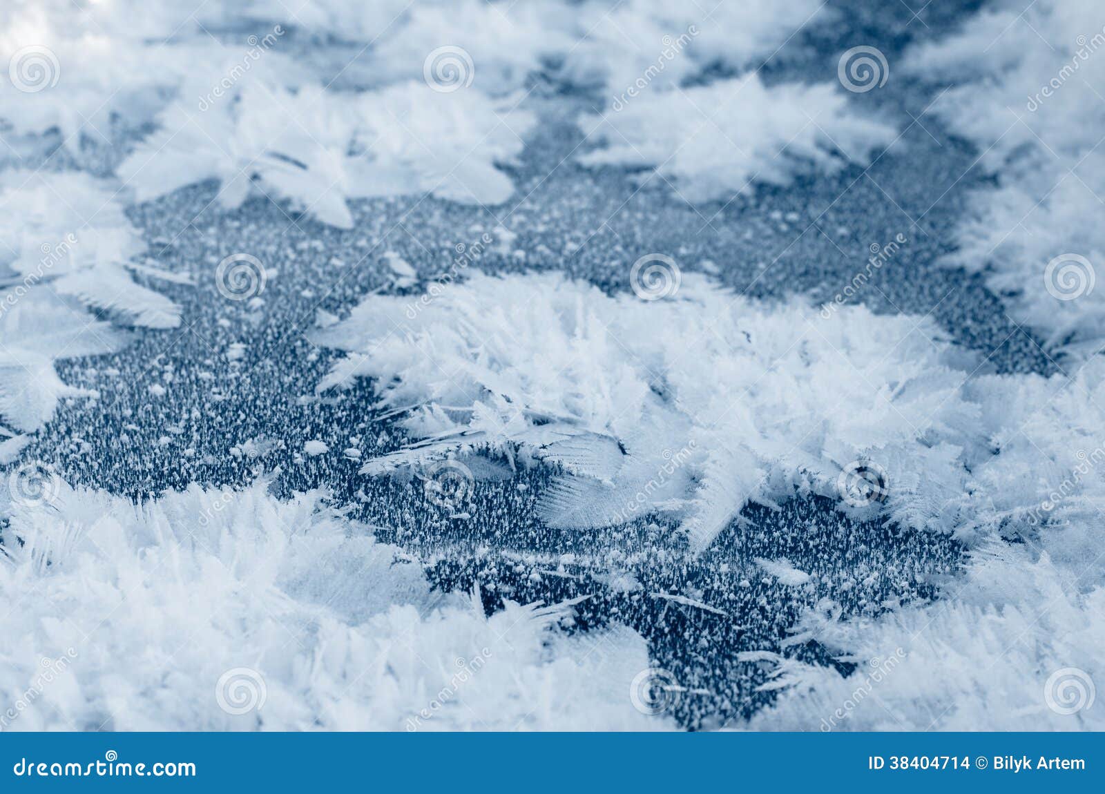 Beautiful ice. stock photo. Image of flower, frosted - 38404714
