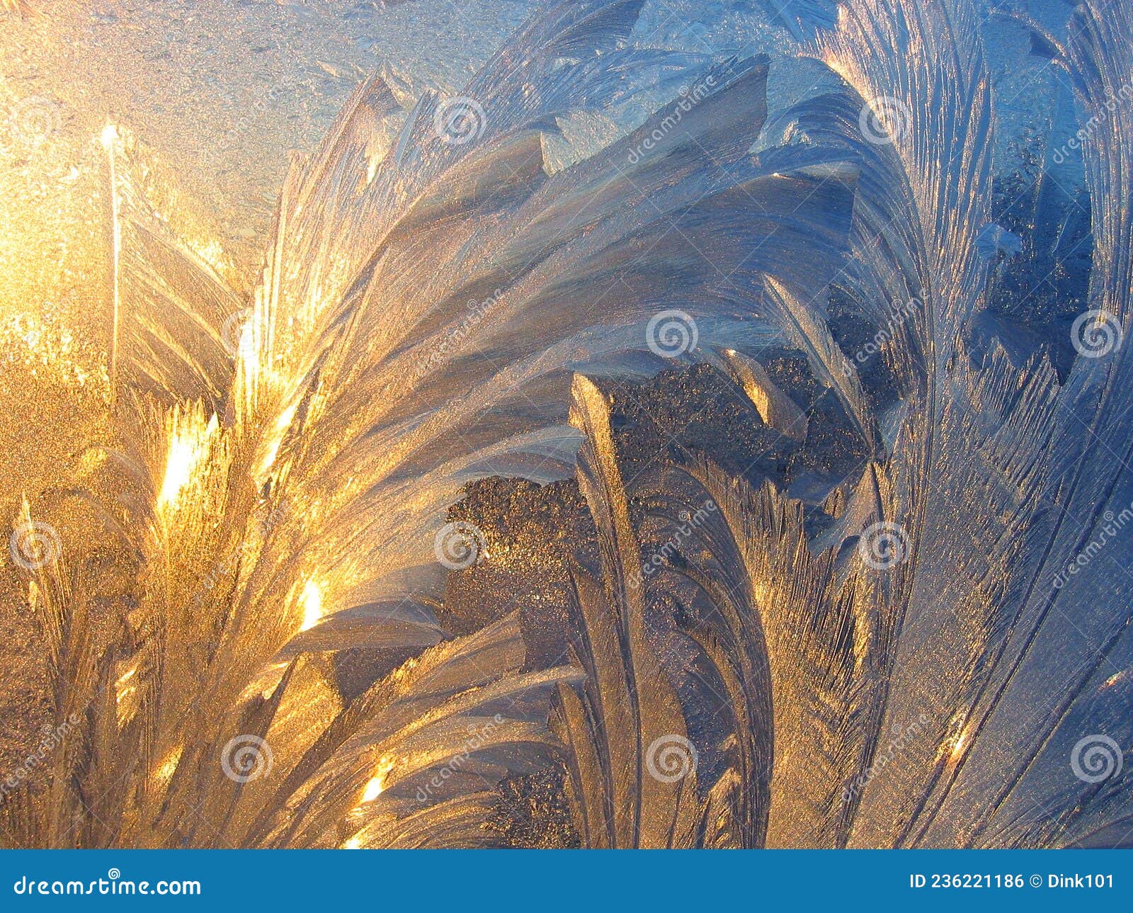 Beautiful Ice Pattern and Sunlight on Glass Stock Photo - Image of ...