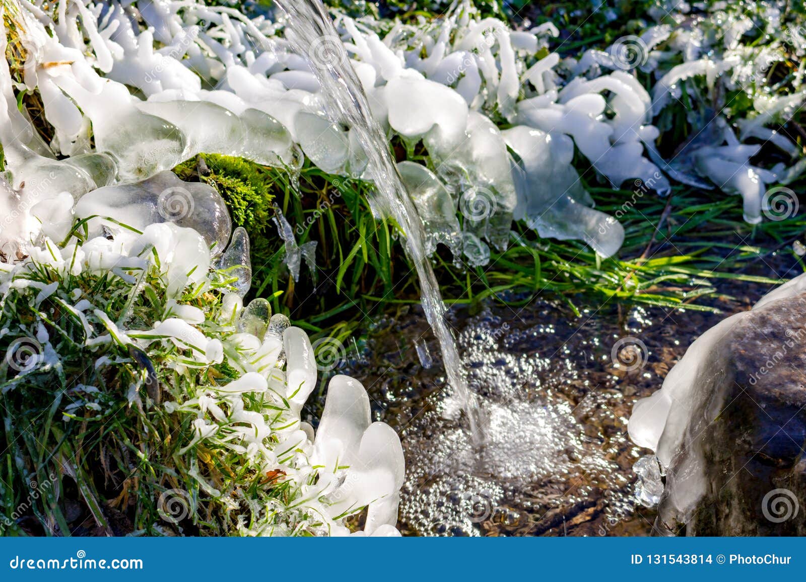 Beautiful Icy Spring in Sunny Day Stock Photo - Image of rain, frozen ...