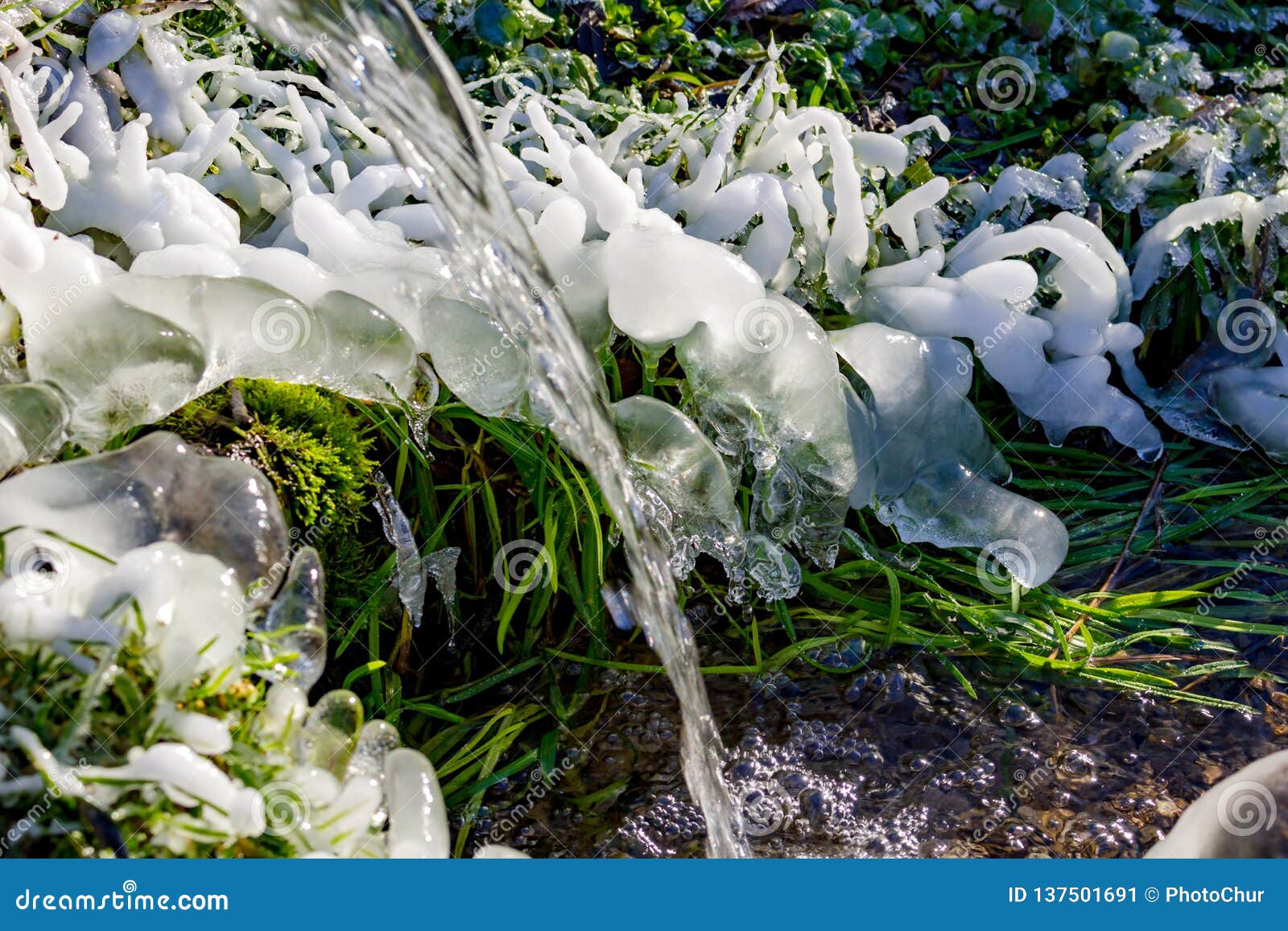 Beautiful Icy Spring in Sunny Day Stock Image - Image of icicles ...